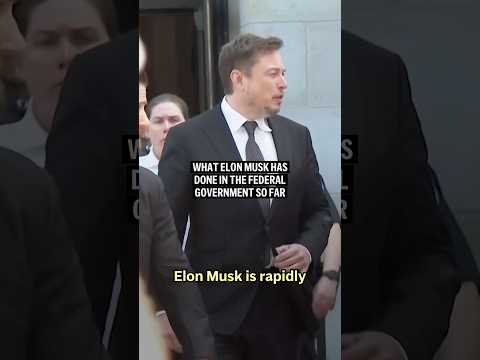 What Elon Musk has done in the federal government so far