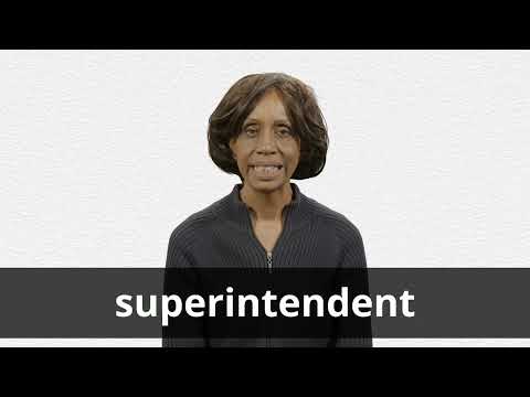 SUPERINTENDENT definition and meaning | Collins English Dictionary