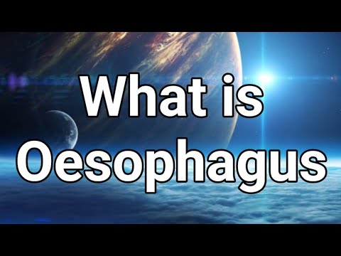 What is Oesophagus. Urdu/ English