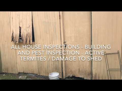 Building and Pest inspection defects