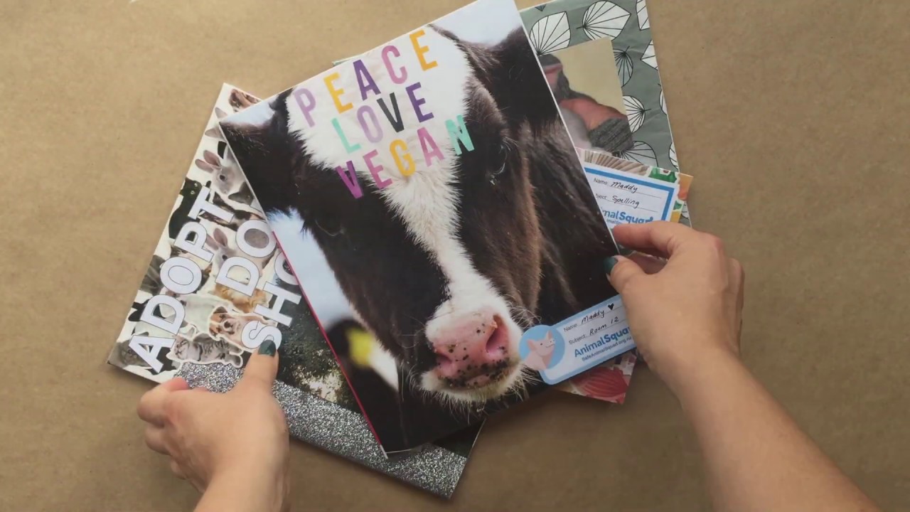 DIY Animal Book Covers