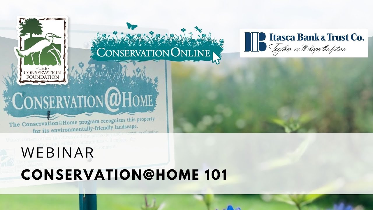 Conservation@Home 101