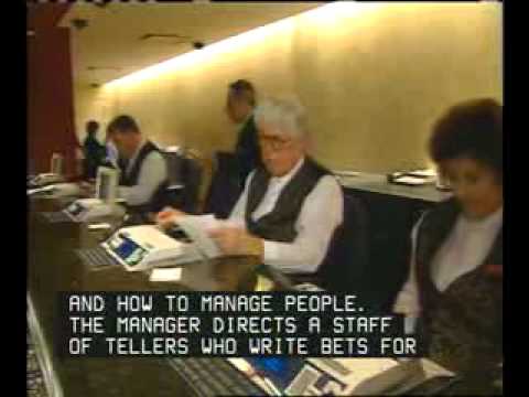 Gaming Sports Book Writer Job Description