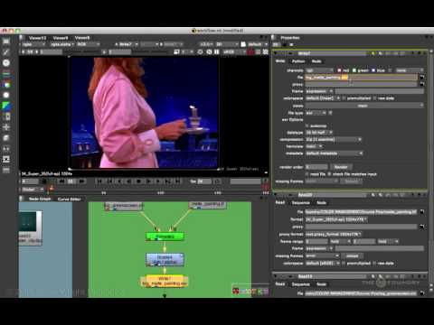 Nuke; Basic Workflows; Colour Management - Part 4 Video Lecture - Create Visual Effects with ...