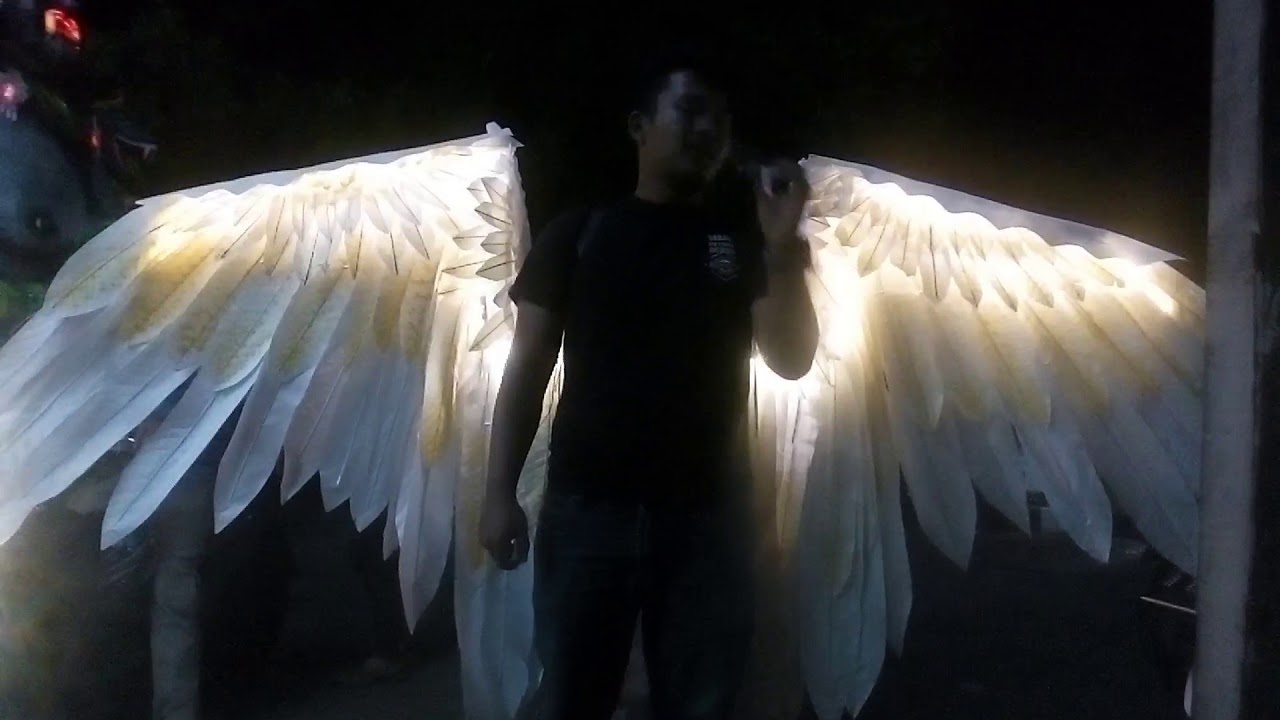 First made electric wings project