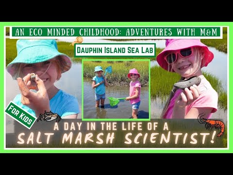 A Day in the Life of a Salt Marsh Scientist & The Dauphin Island Sea Lab Alabama Aquarium with Kids
