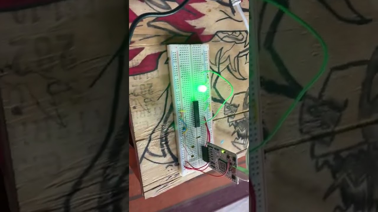 EE2361 Lab 2 Demo