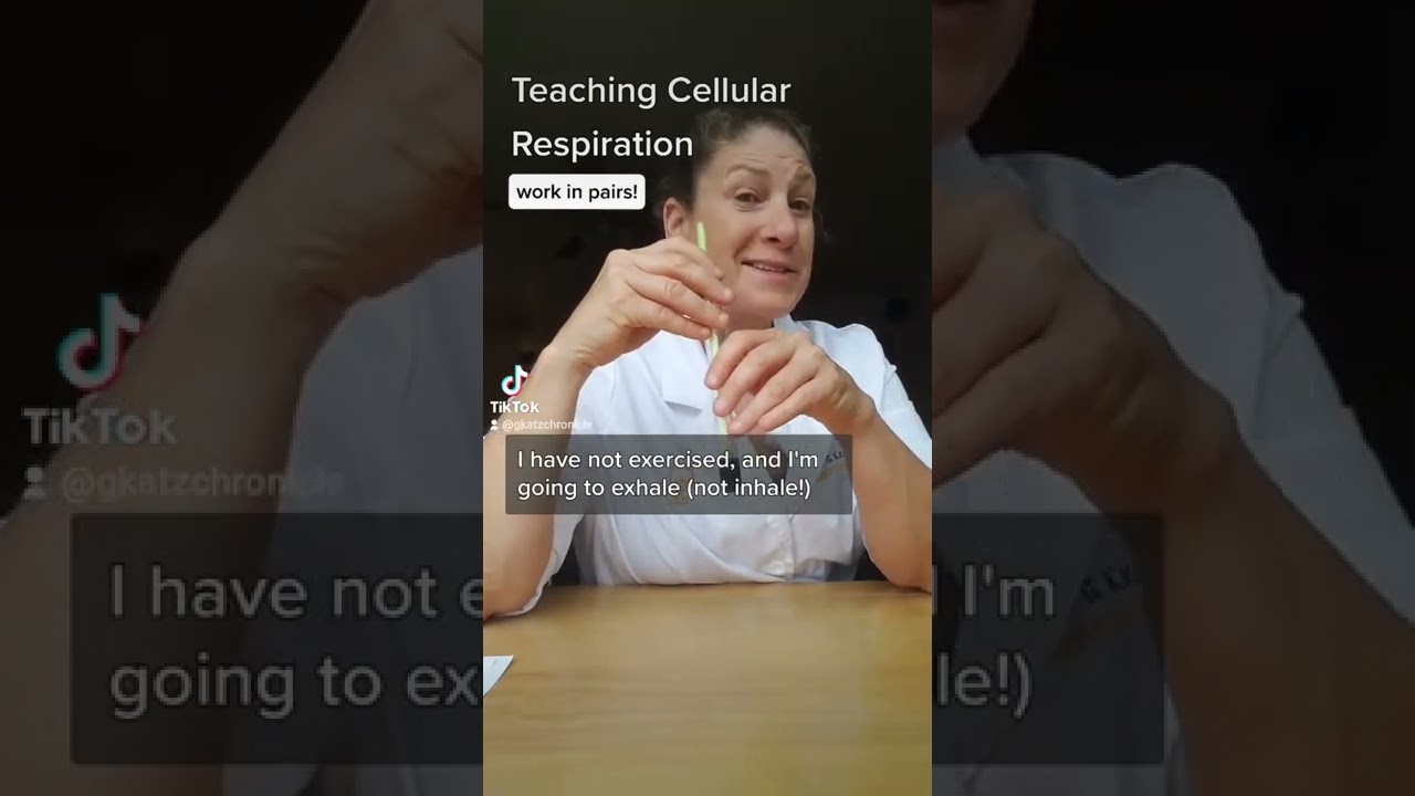 Teach Cellular Respiration with this Fun Classroom Activity!