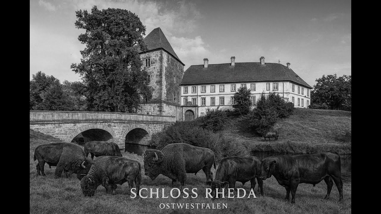Sven Schurig Statement - Schloßmühle 2025