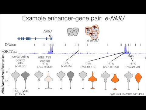 Pairing enhancers with their target genes via multiplexed cellular genetic screens
