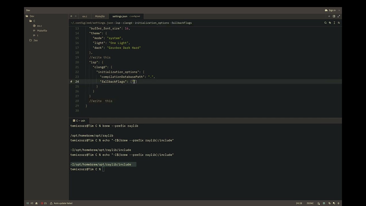 Problem with include raylib.h