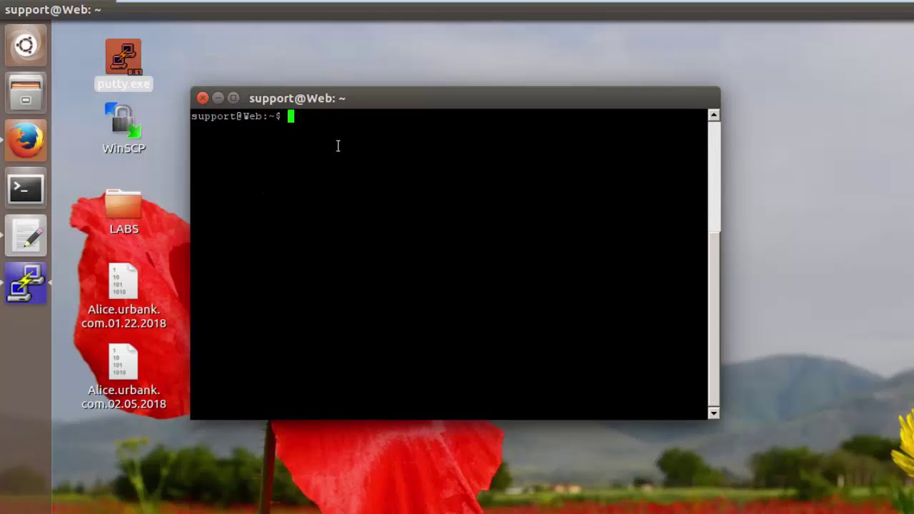 Command Injection ~ Running The PHP Code