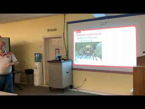 Entomology