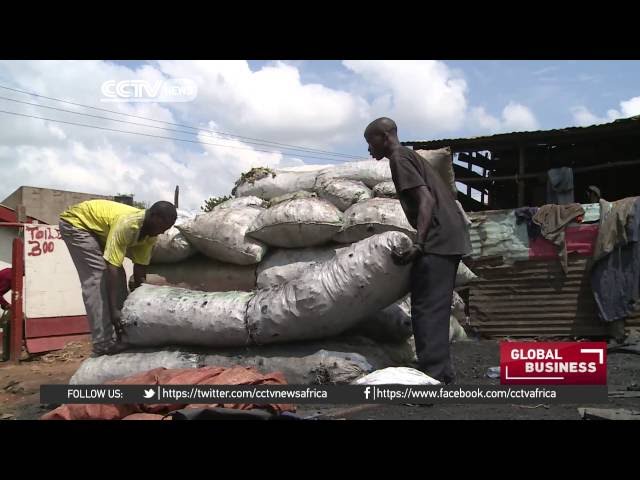 Deforestation in Uganda - Causes, Effects, Rate Forest Cover Loss