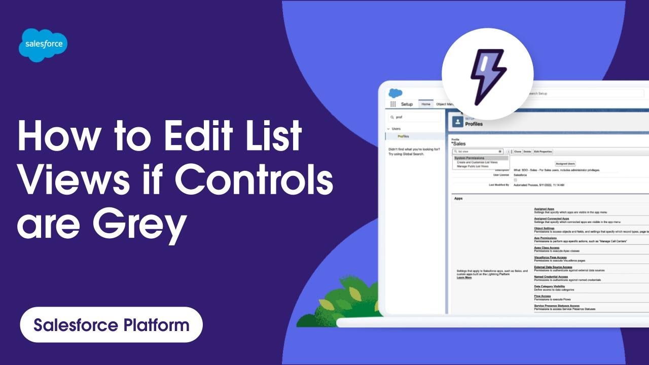 How to Edit List Views if Controls are Grey | Salesforce Platform