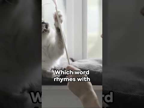 Rhyme Time Challenge: Wordplay Wonderland #education #shorts #english