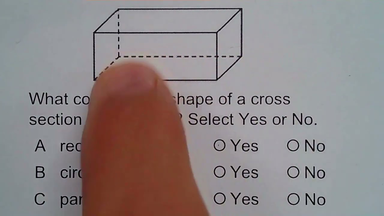 Module 8 Study Guide