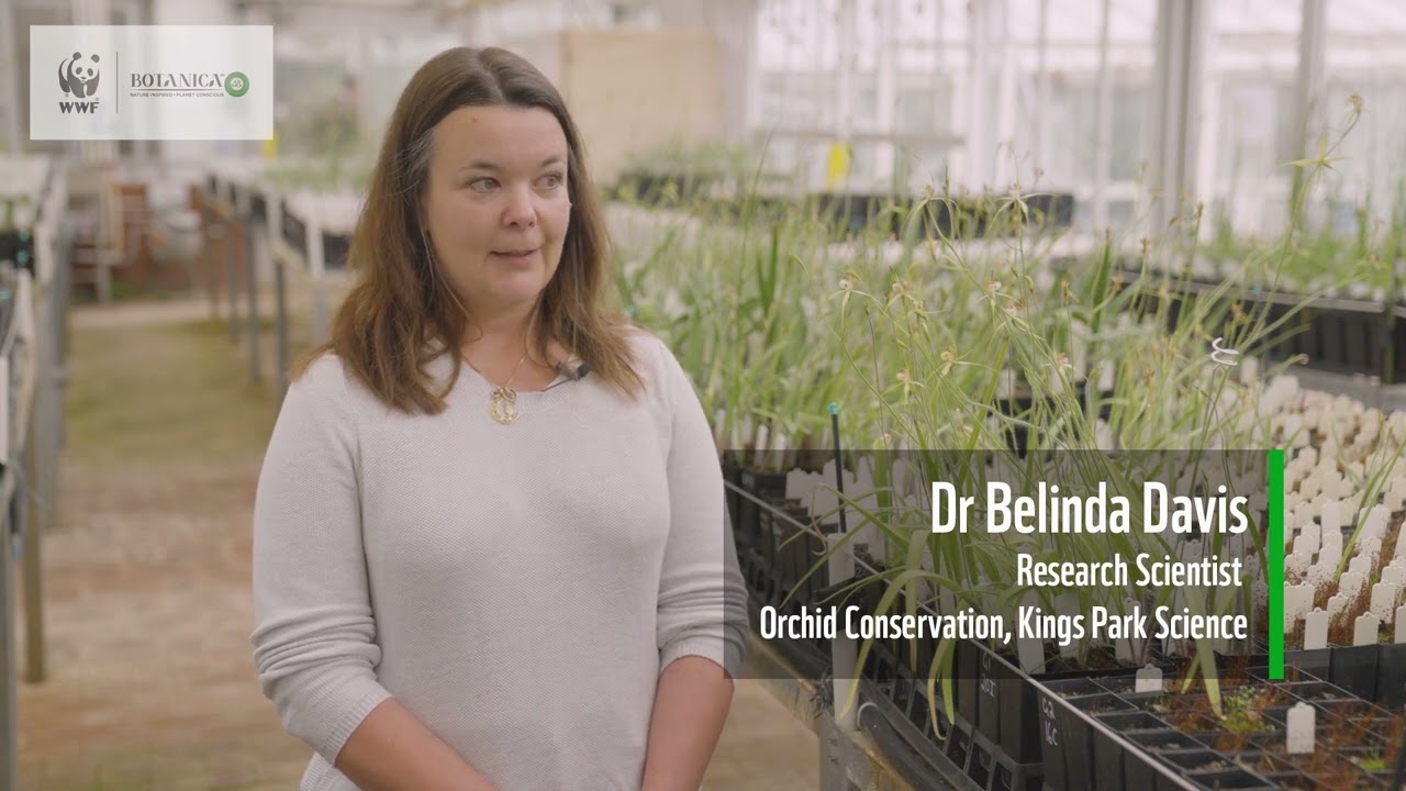 Seedbanking to protect native flora | WWF-Australia