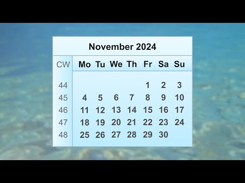 November 2024 Calendar
