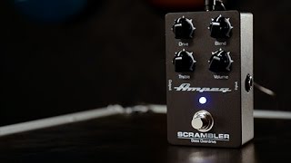 Ampeg Scrambler SC-1 - What To Know & Where To Buy | Equipboard