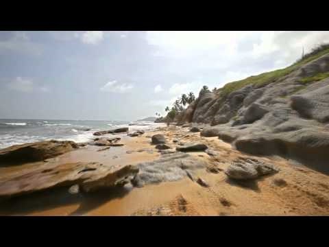 Beach run 2