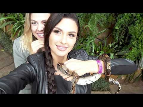 Valeria Rees biography: 13 things about Miss Universe Costa Rica 2021 ...