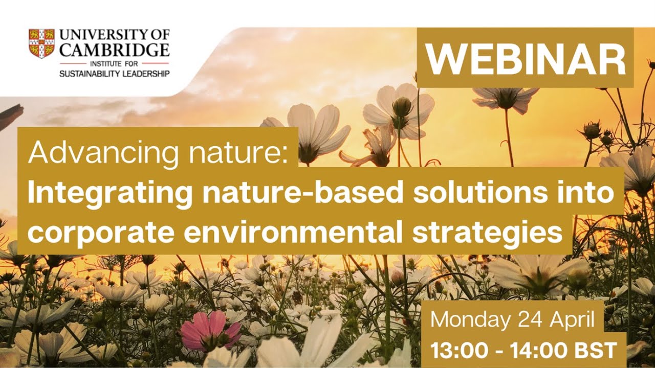 Advancing nature: Integrating nature-based solutions into corporate environmental strategies