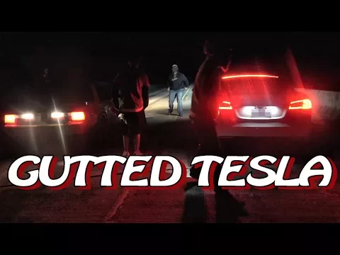 Gutted Tesla Model S P100D Drag Races Twin-Turbo Coyote Mustang on the ...