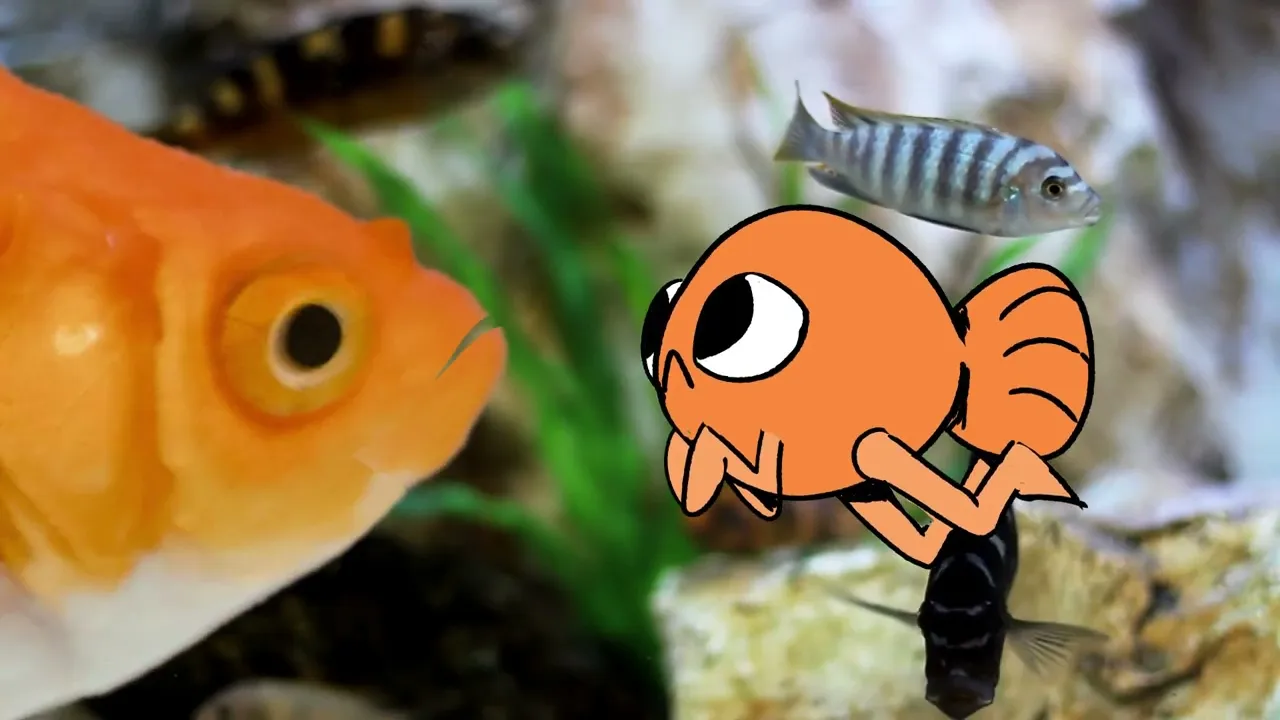 2D Puppet Animation (Non-Tracking Video) by Orkios (@Orkios) | VGen