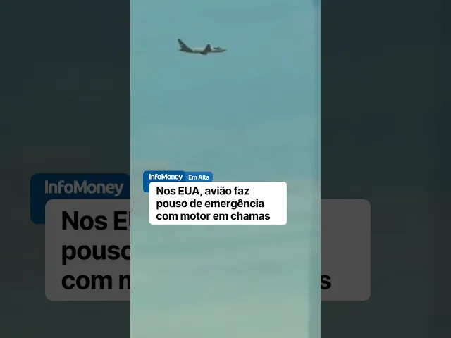 VÍDEO: Boeing colide com pássaro durante voo e piloto faz pouso de emergência nos EUA