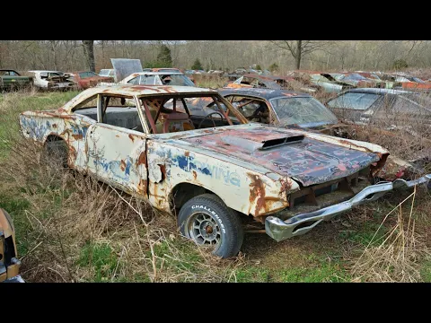 Huge Farm Field Is Packed With Mopar Muscle Cars, Rare Gems Included ...