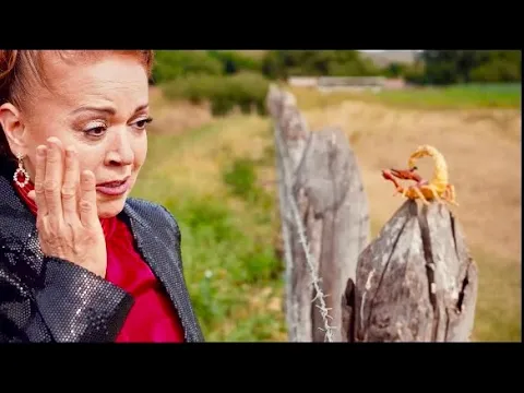 Buy tickets for LOS ORIGINALES DE SAN JUAN, LOS REALES Y MAS at El ...