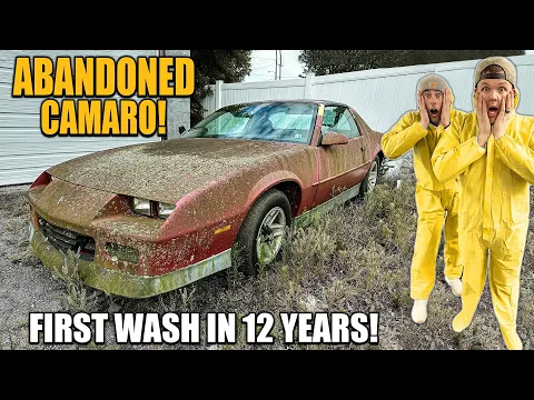 From Rust to Radiance: WD Detailing's Remarkable Restoration of a ...