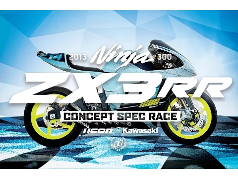 ICON Kawasaki ZX3-RR Is Ready for the Track - autoevolution