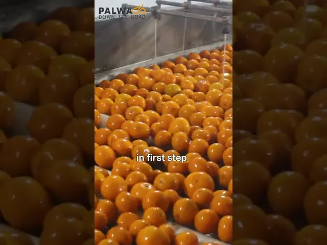 Best Features of Pakistani Kinnow and its Polish process in Factory | Siasat.pk Forums